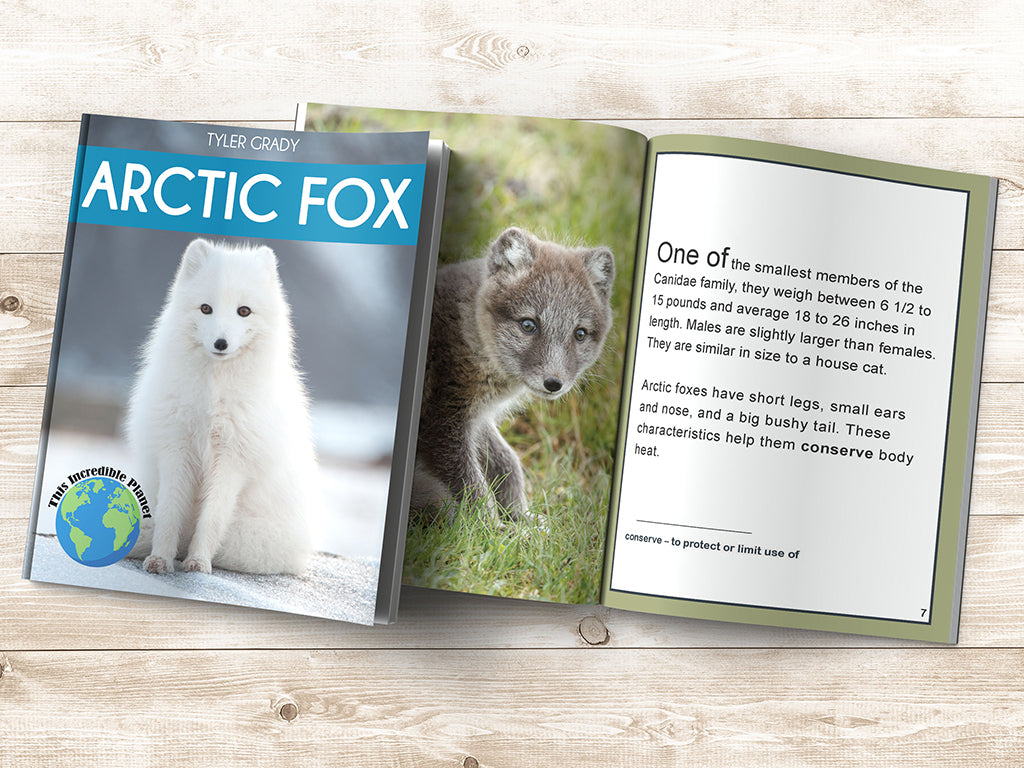 Arctic Fox Habitat Facts