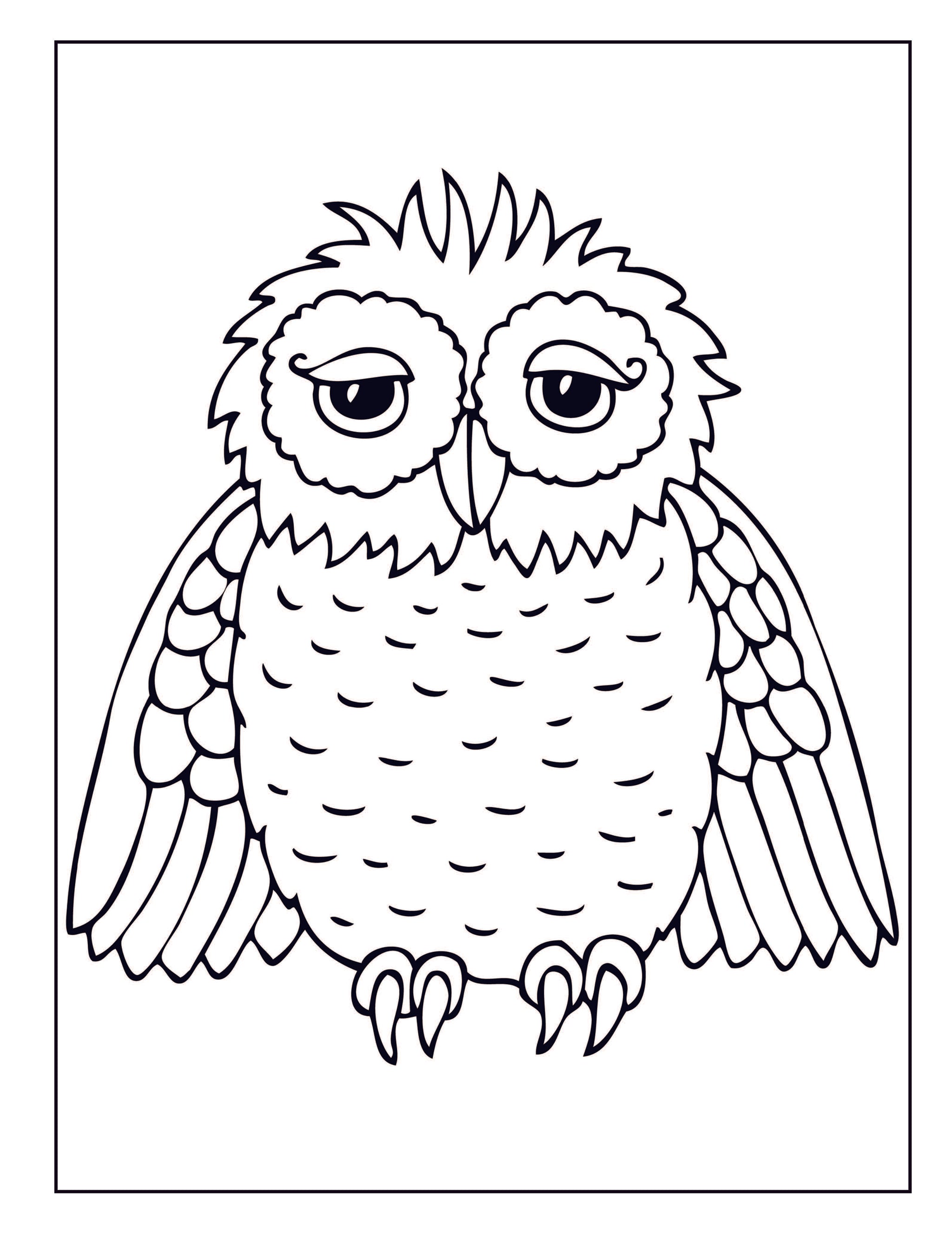 Large Print Coloring Book: Easy Animal Designs – Dylanna Press